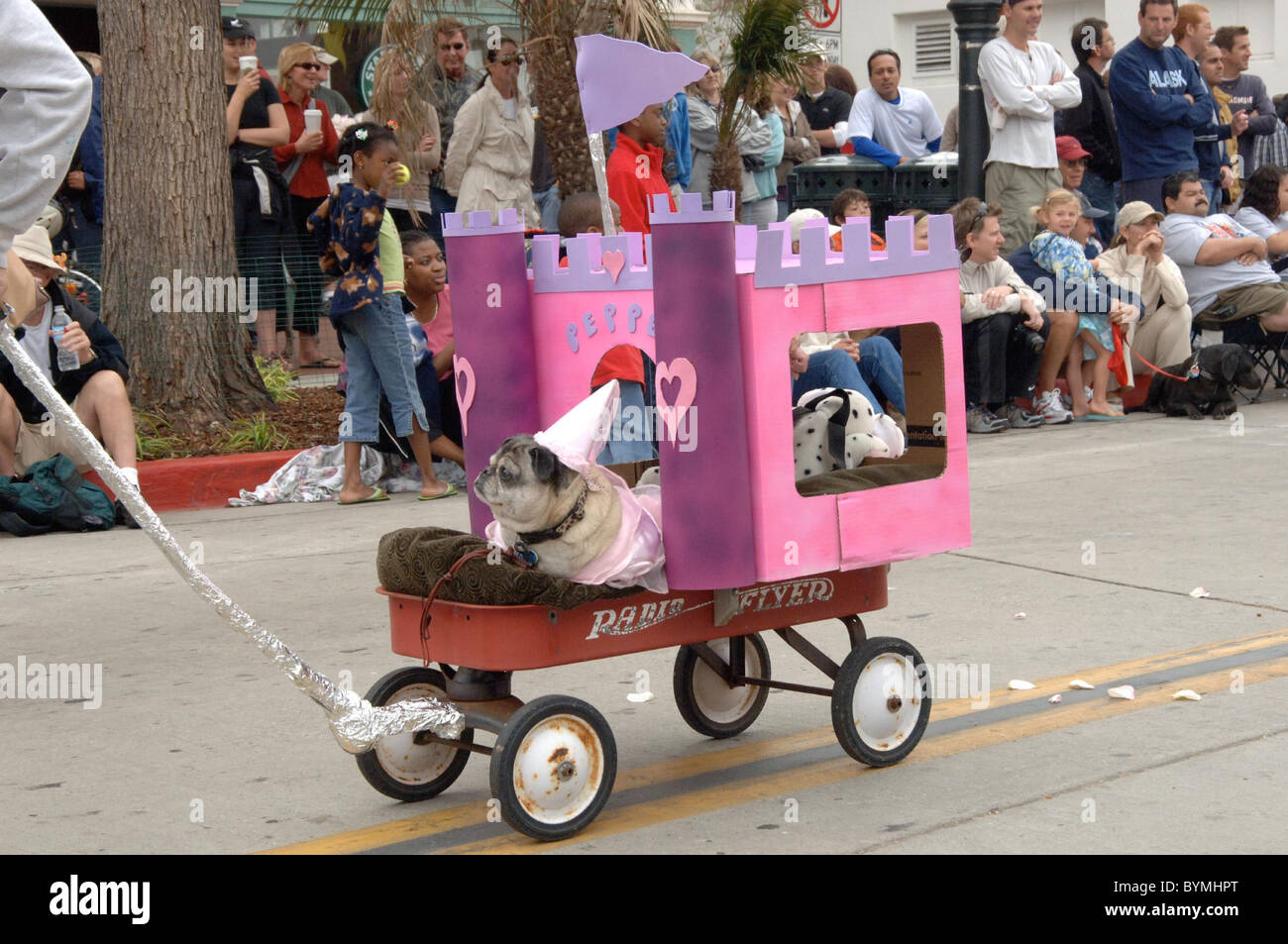 13th annual Big Dog Parade and Canine Festival Santa Barbara ...