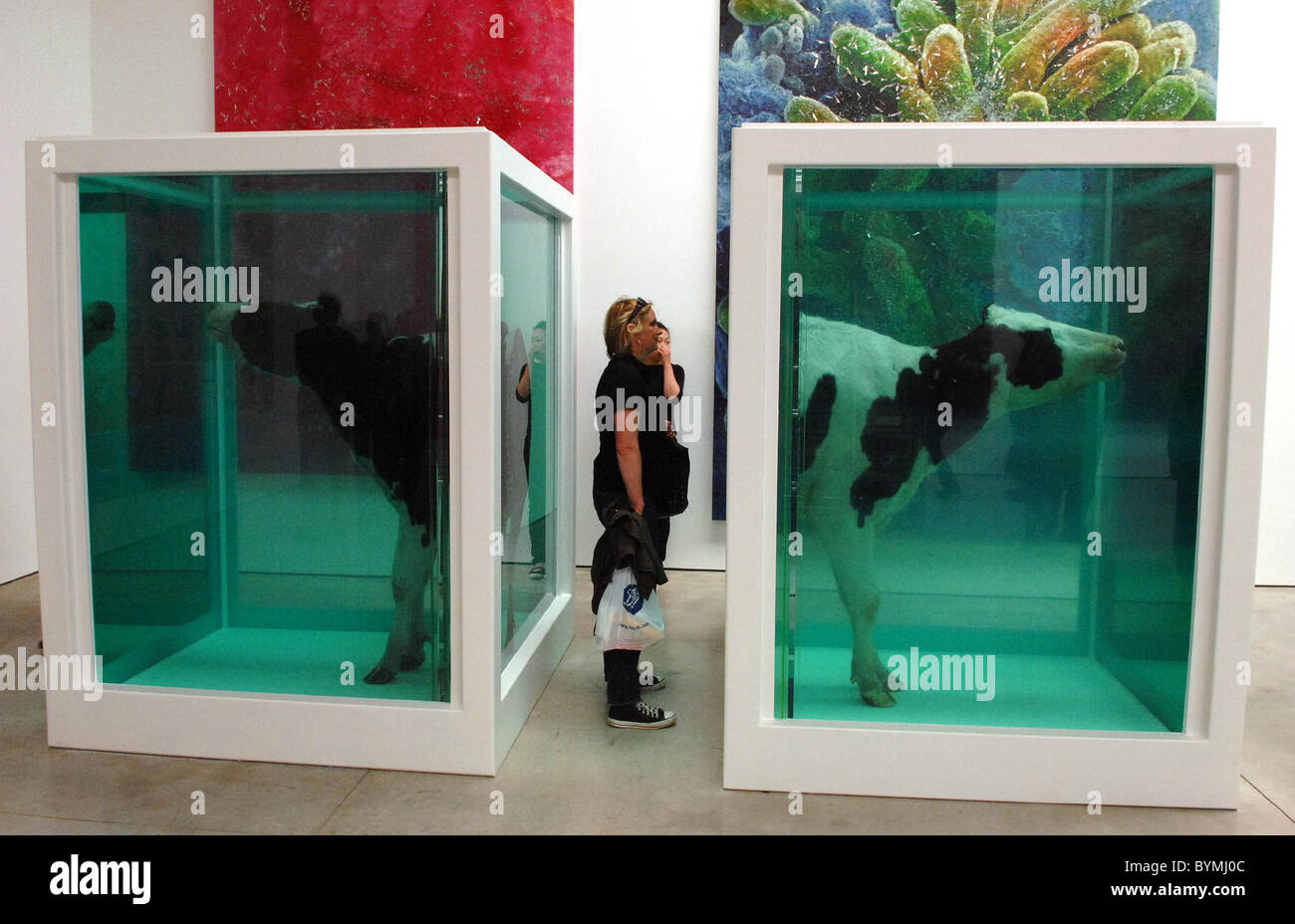 Damien Hirst - Death Explained, exhibition The White Cube Gallery London, England - 01.06.07 ...