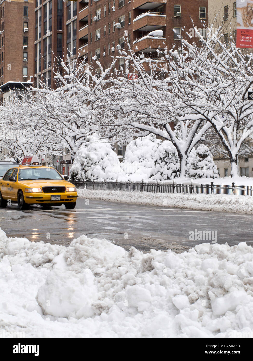 Vertical portrait murray hill hi-res stock photography and images - Alamy