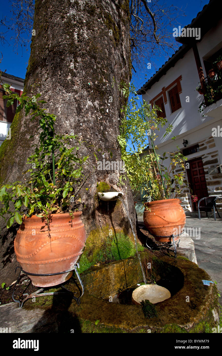 Two large pots hi-res stock photography and images - Alamy