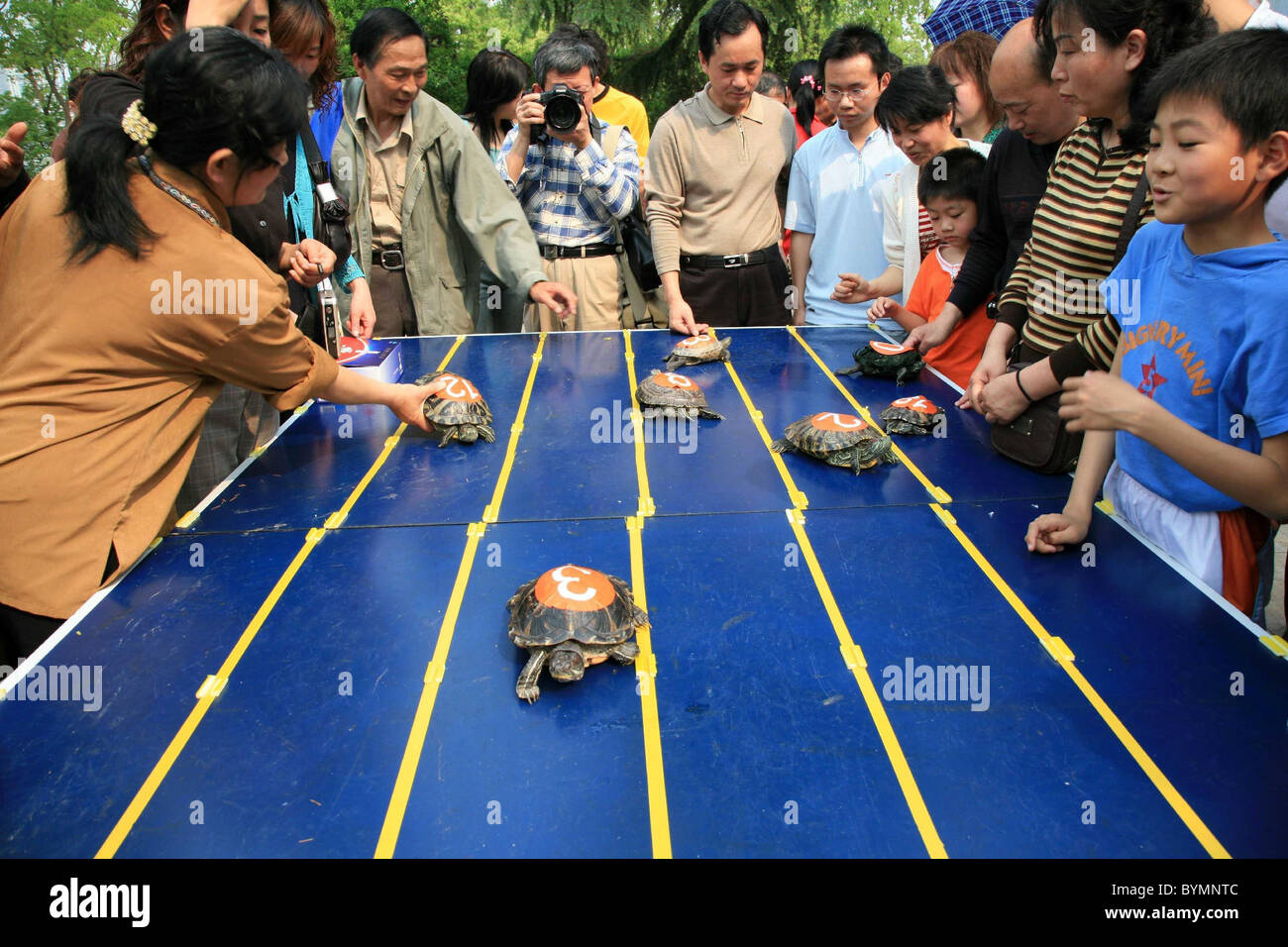 Tortoise racing attracts a large crowd at the Donghai Ocean World in ...