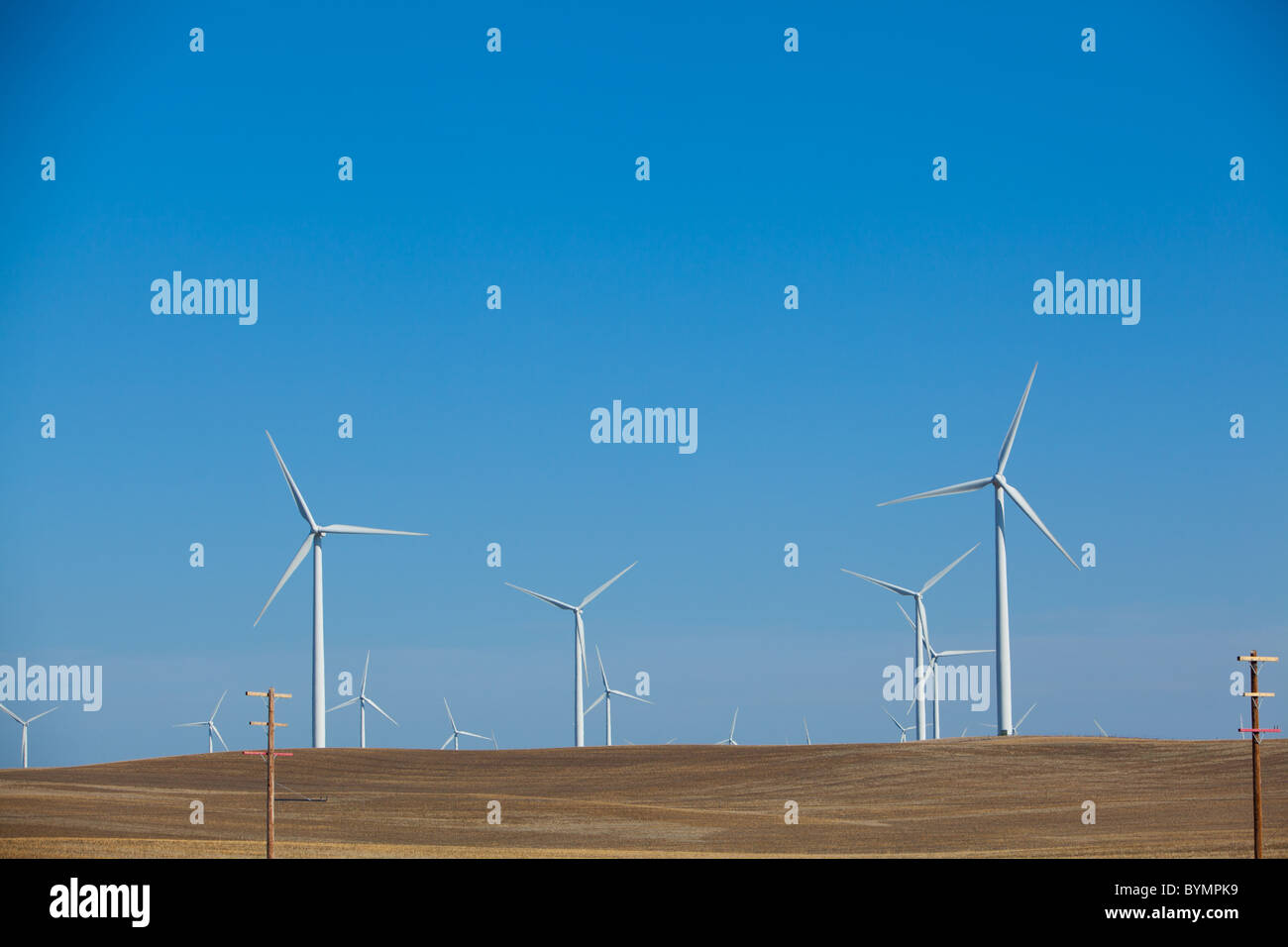 A Wind Farm with Blue Skys Stock Photo - Alamy