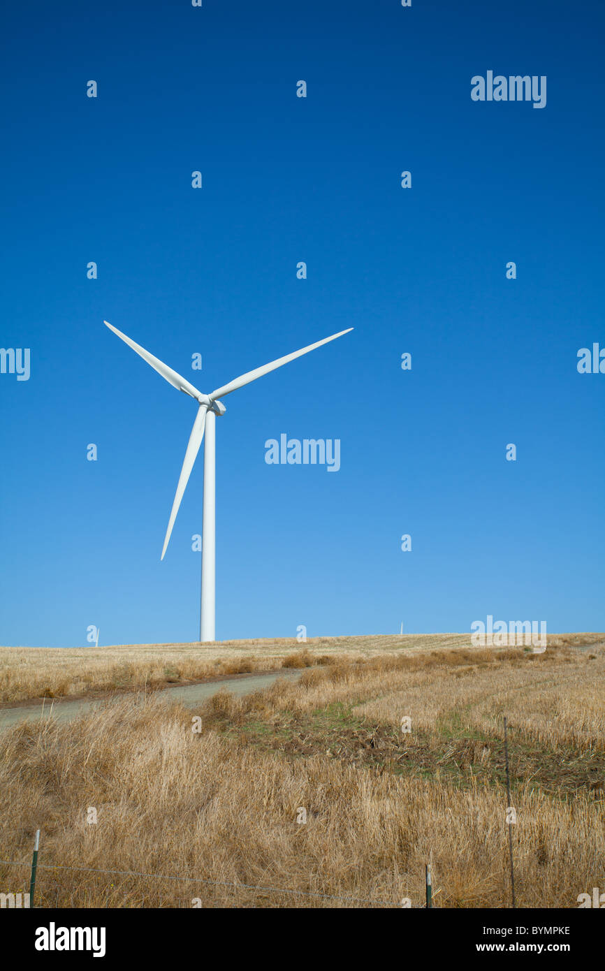 A Wind Farm with Blue Skys Stock Photo - Alamy