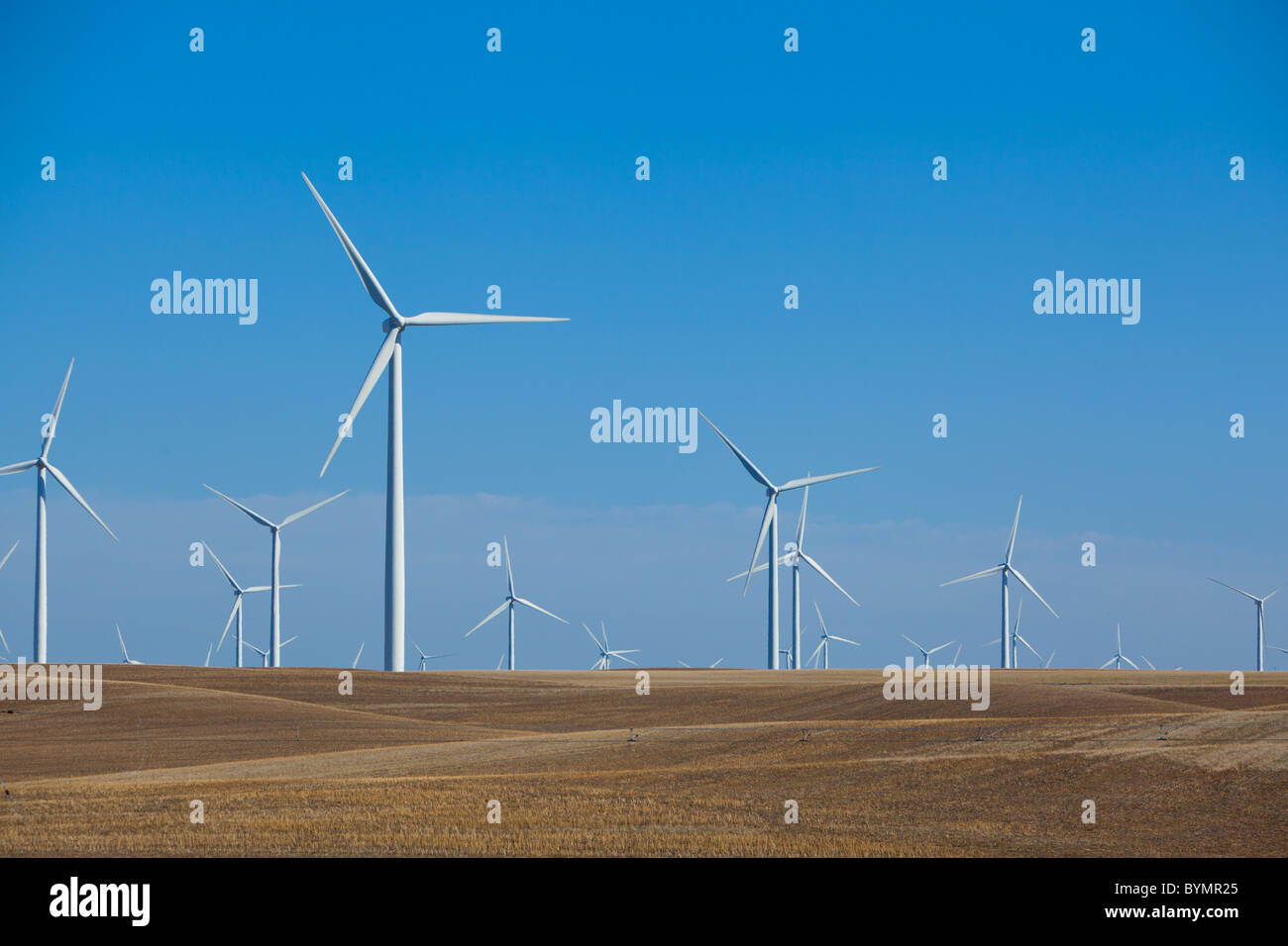 A Wind Farm with Blue Skys Stock Photo - Alamy