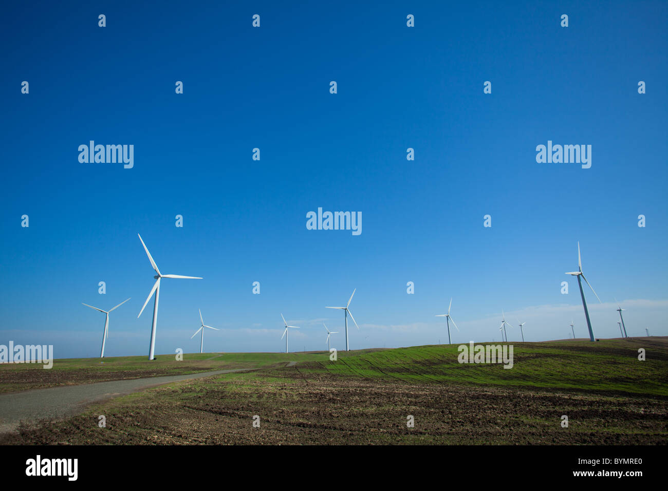 A Wind Farm with Blue Skys Stock Photo - Alamy