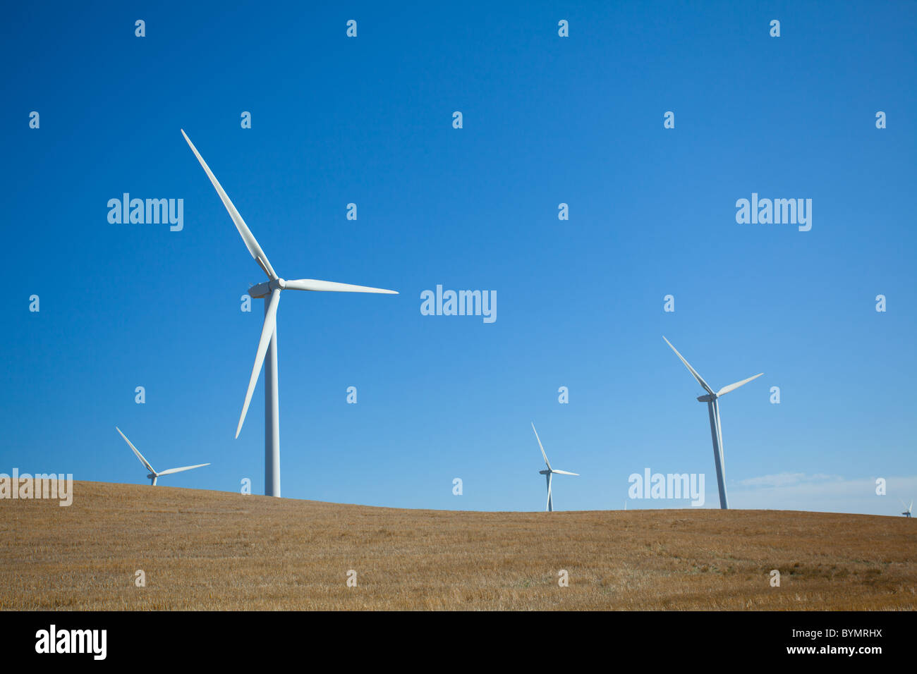 A Wind Farm with Blue Skys Stock Photo - Alamy