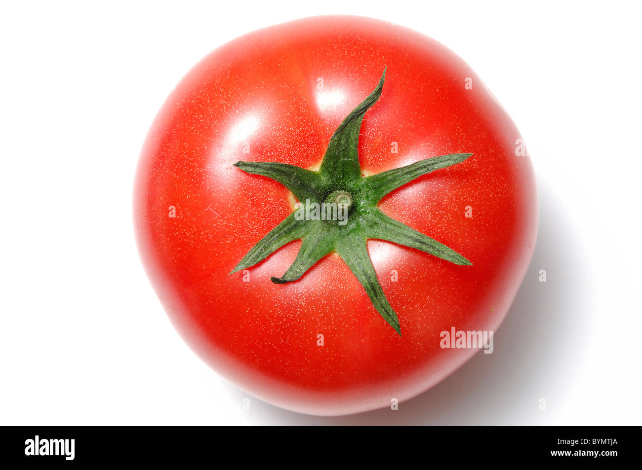 Single tomato hi-res stock photography and images - Alamy