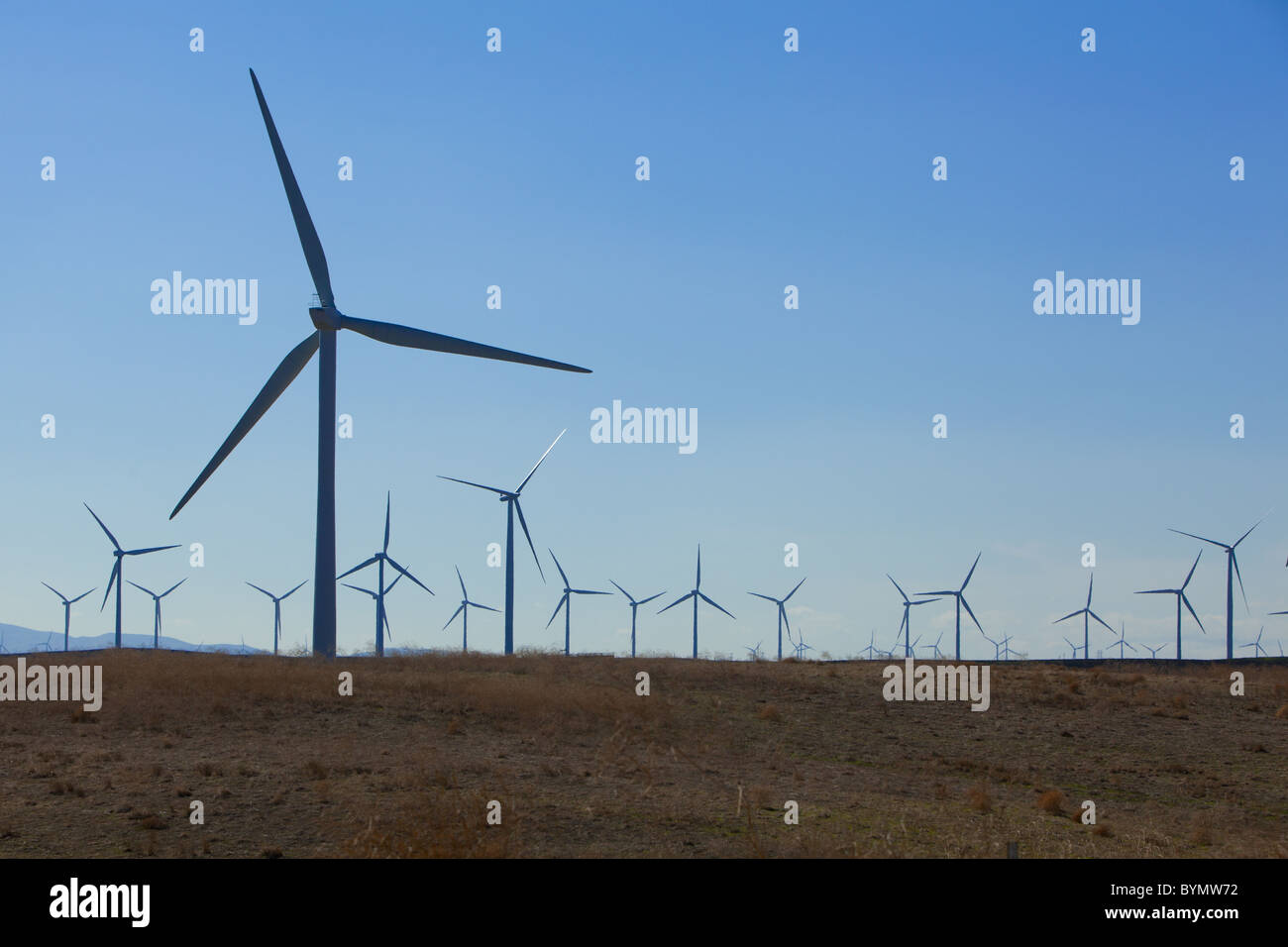 A Wind Farm with Blue Skys Stock Photo - Alamy