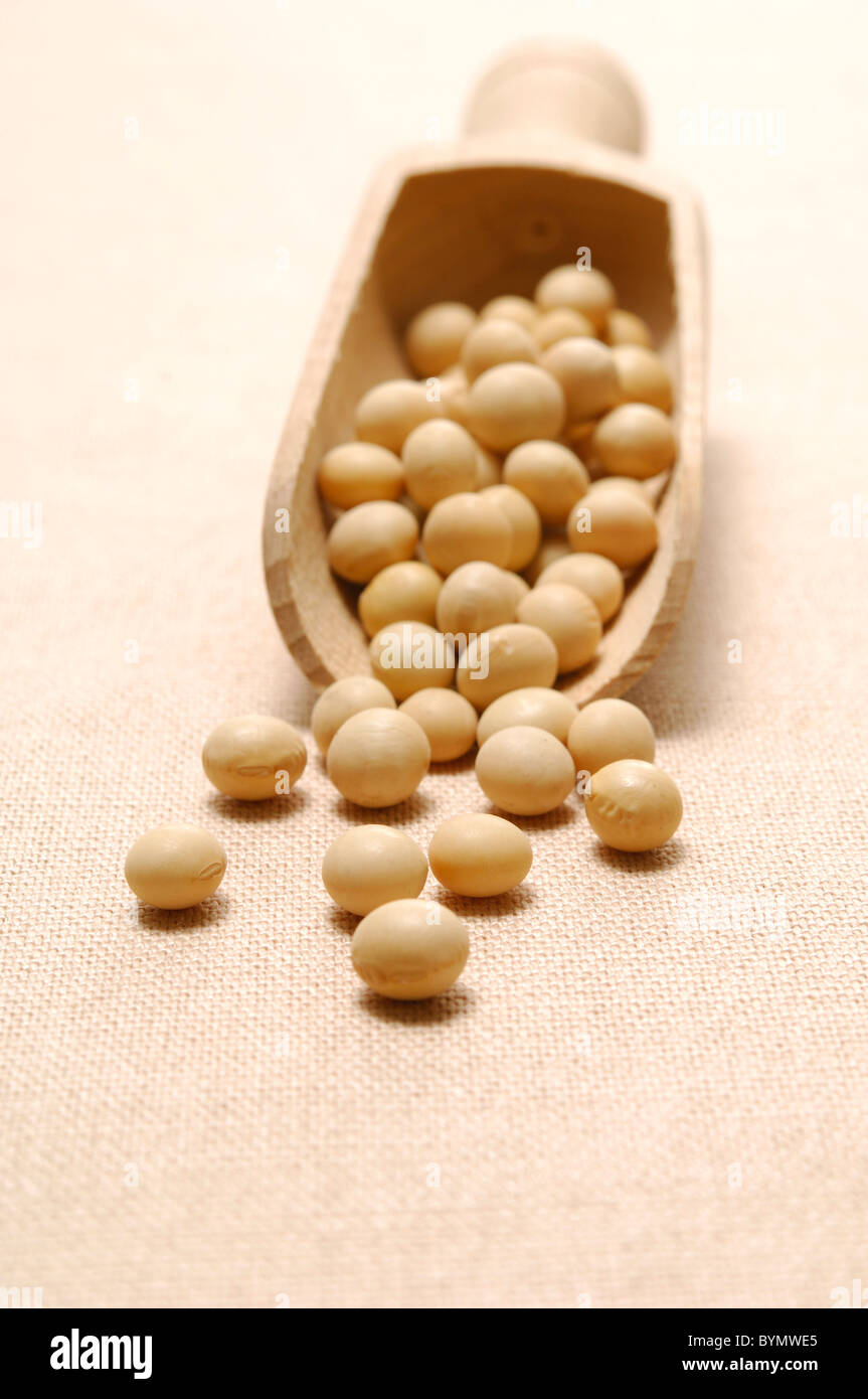 Soybeans hi-res stock photography and images - Alamy