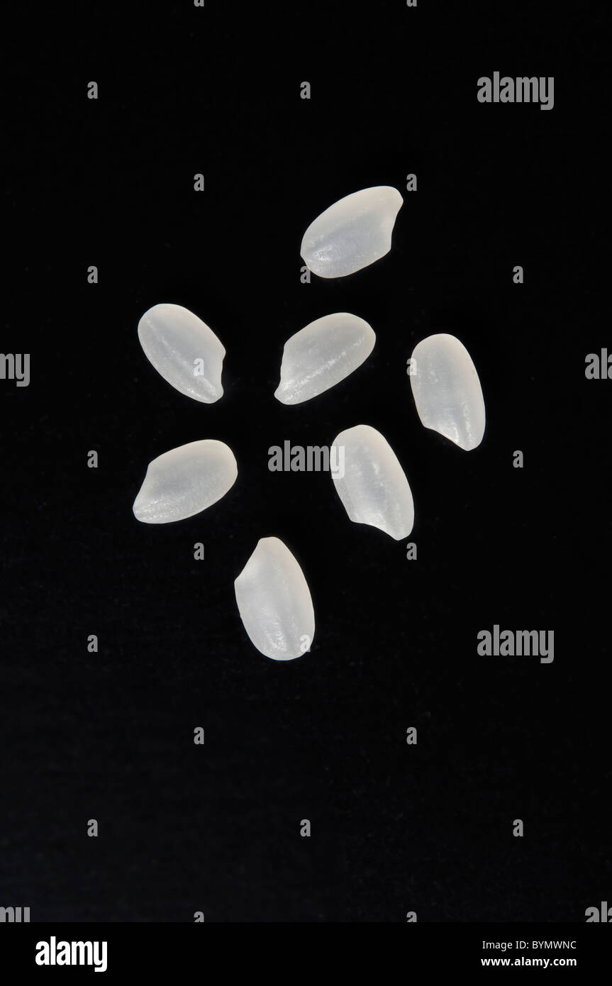 Seven Rice Grains Stock Photo - Alamy