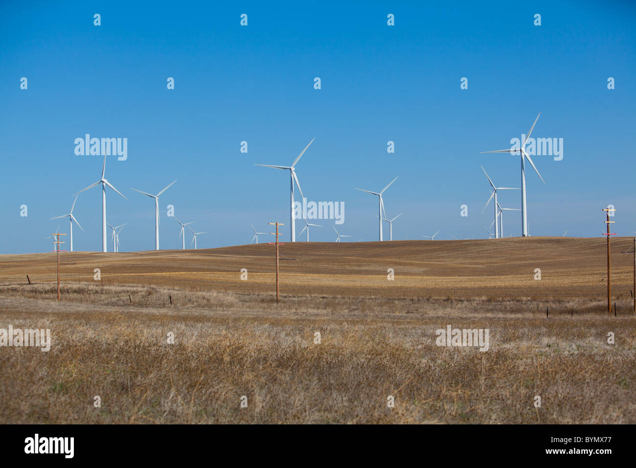 A Wind Farm with Blue Skys Stock Photo - Alamy