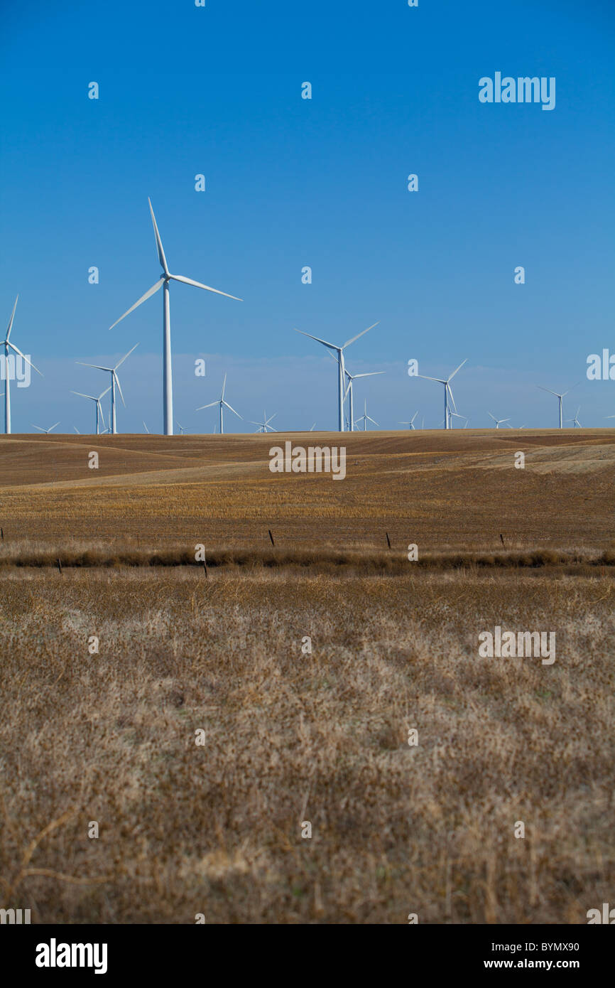 A Wind Farm with Blue Skys Stock Photo - Alamy