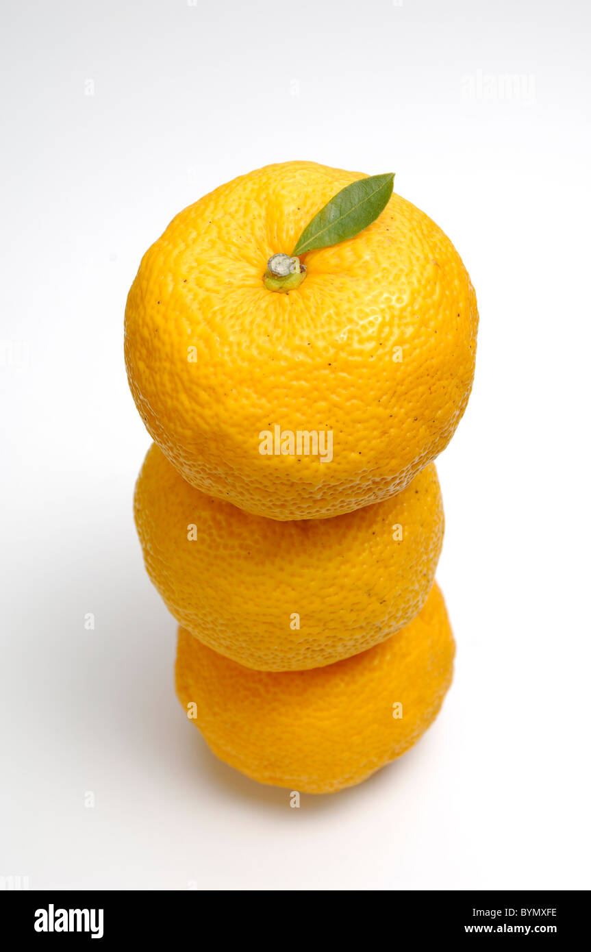 Three Yuzu Fruits Stock Photo - Alamy