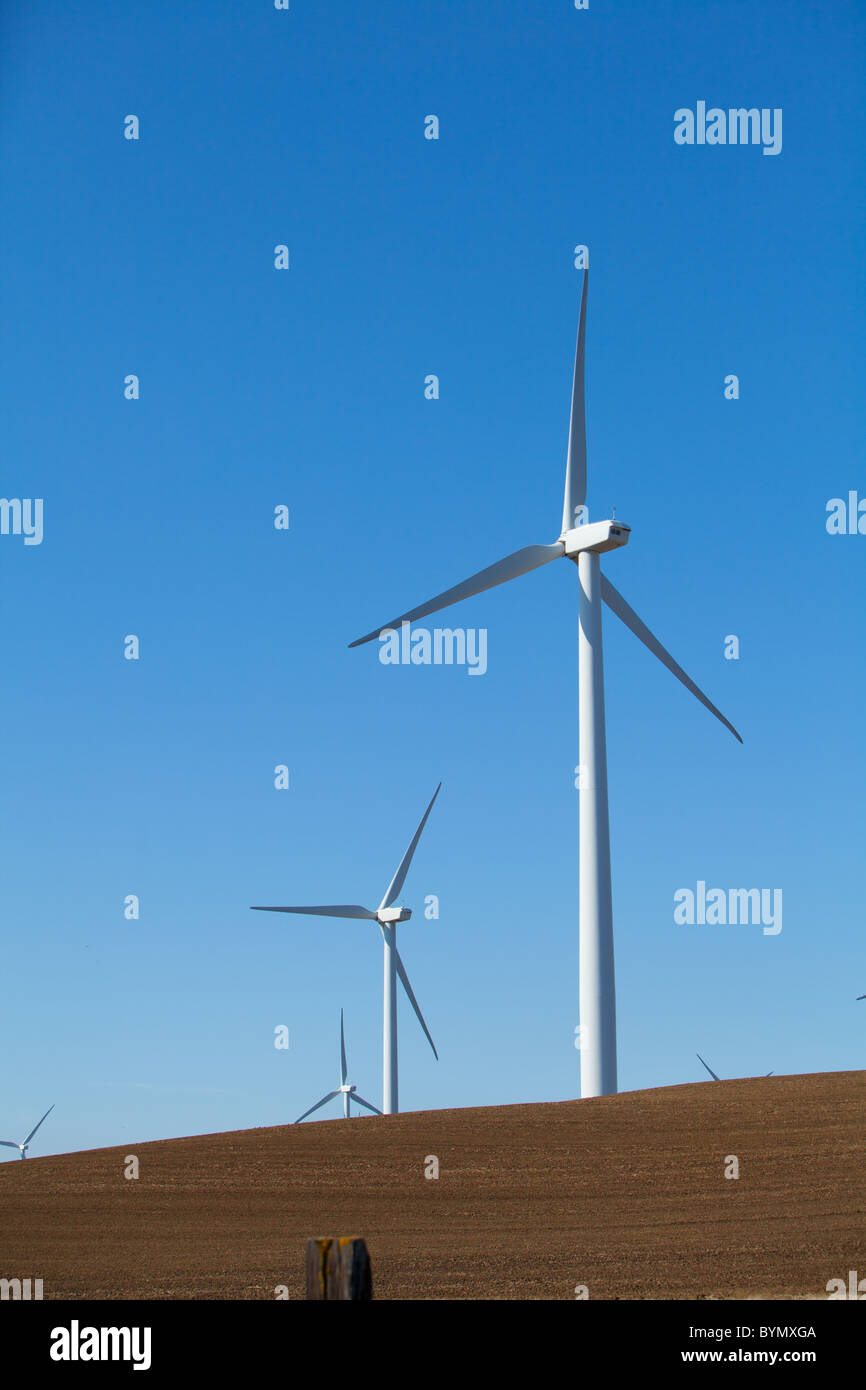 A Wind Farm with Blue Skys Stock Photo - Alamy