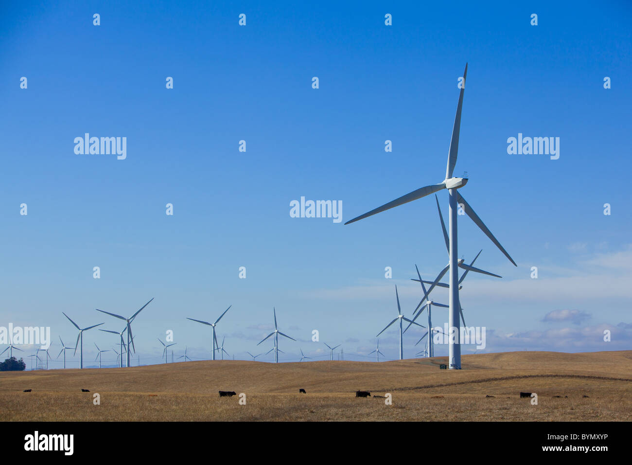 A Wind Farm with Blue Skys Stock Photo - Alamy