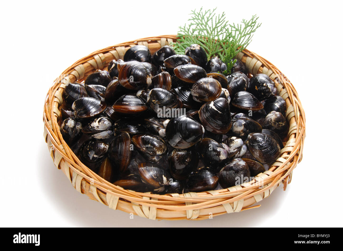Clams in Basket Stock Photo - Alamy