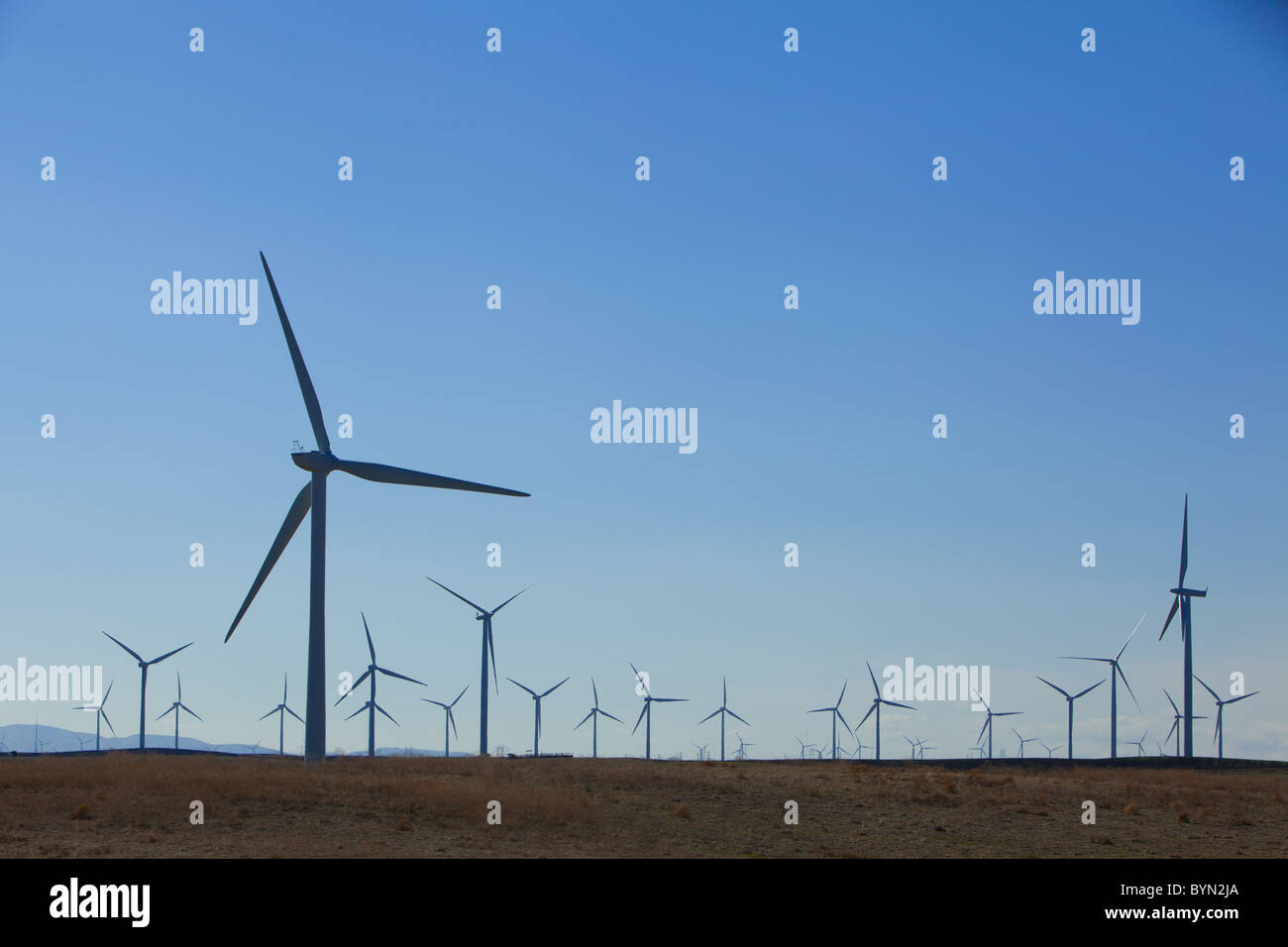 A Wind Farm with Blue Skys Stock Photo - Alamy