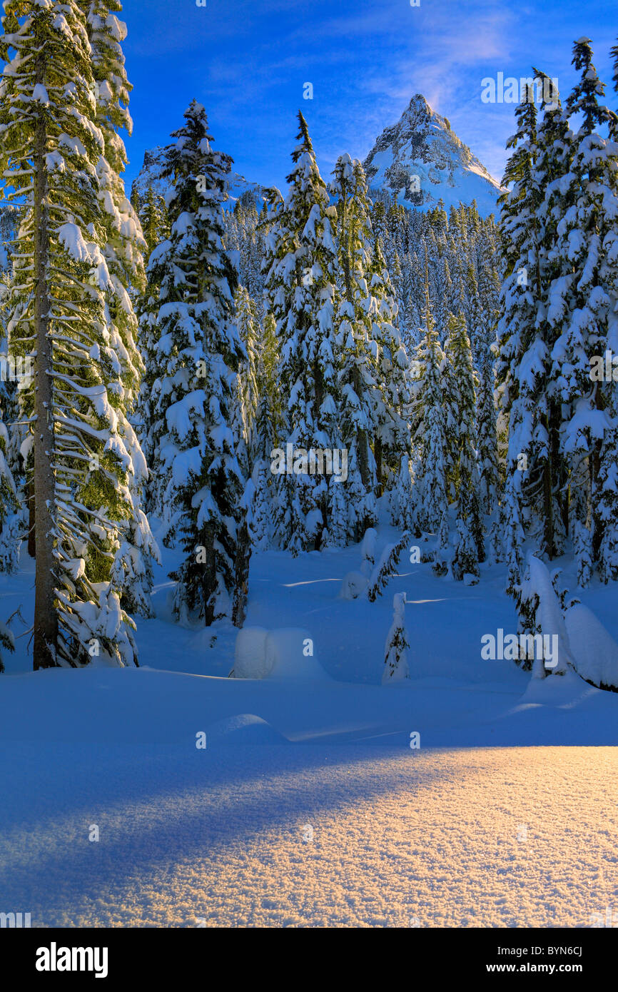 Mount Rainier National Park becomes a winter wonderland in winter, with ...