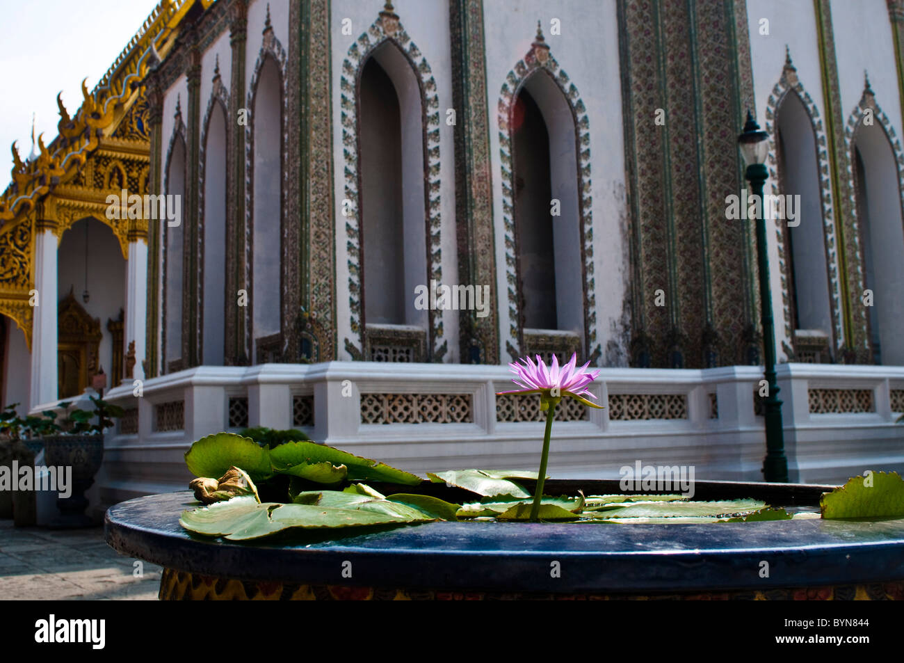 Buddhist scripture library hi-res stock photography and images - Alamy