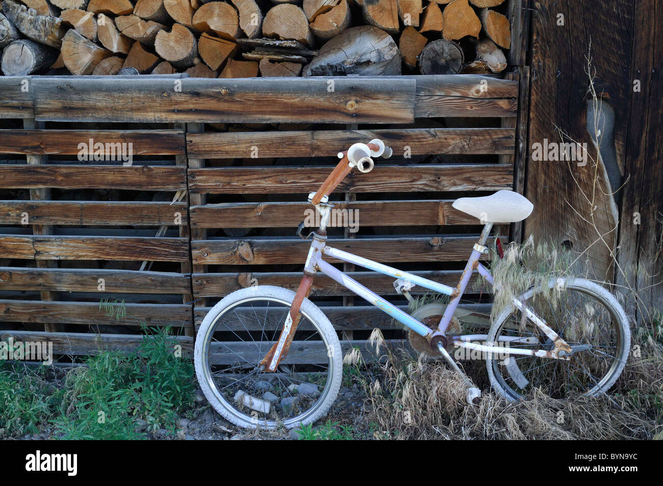 Log Cabin, firewood, bicycle, Idaho, Salmon, Idaho Stock Photo - Alamy