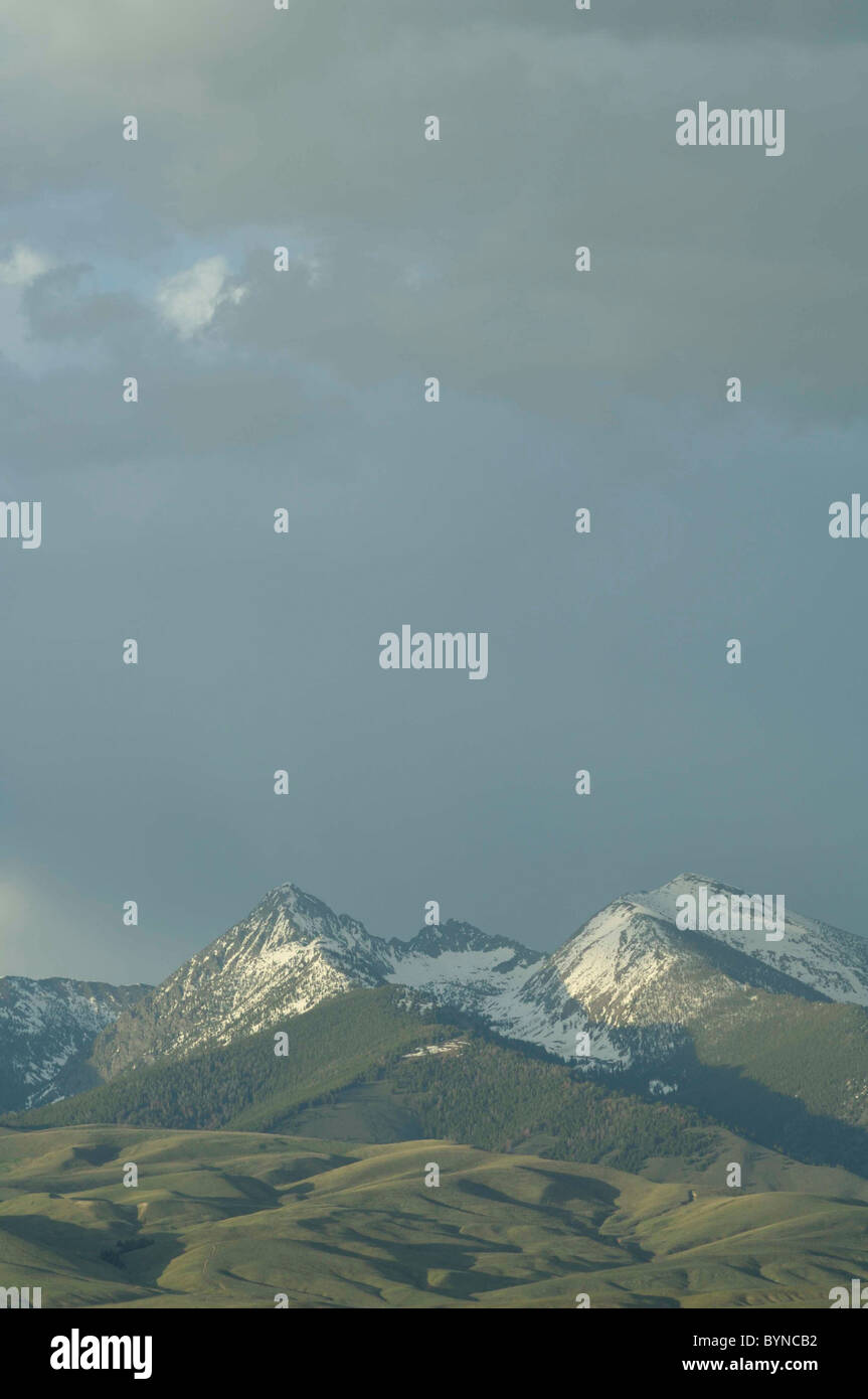 Rainbow bitterroot hi-res stock photography and images - Alamy