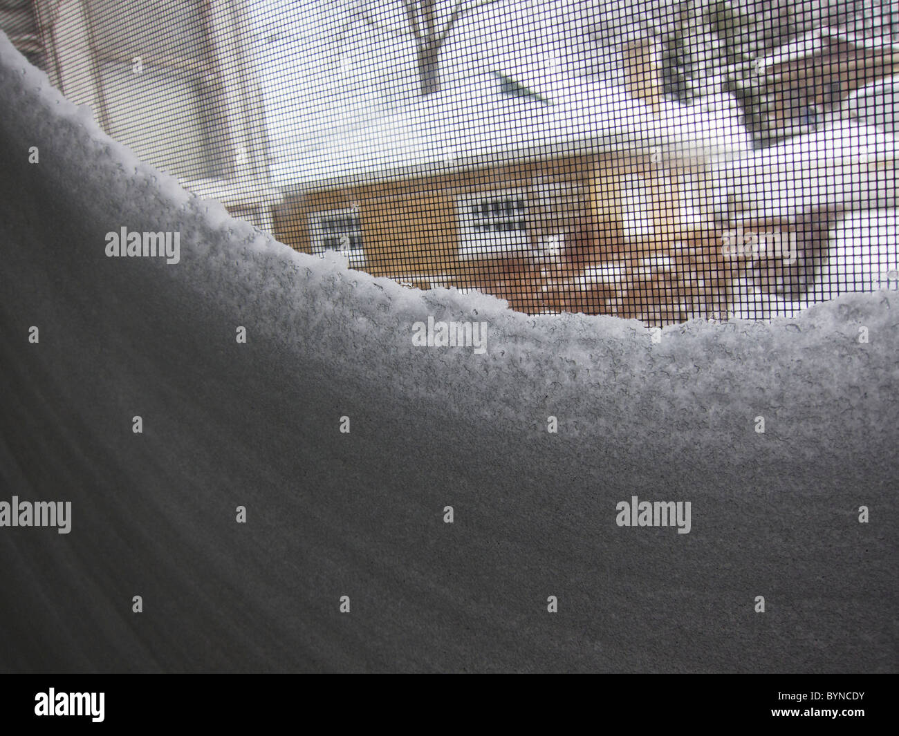 Layers of snow between screen and storm window. Blizzard of 2011, Oak ...