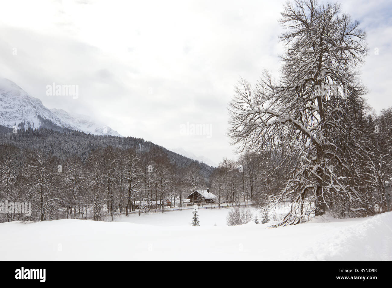 winter Alpine landscape with mountains and house. horizontal shot Stock ...