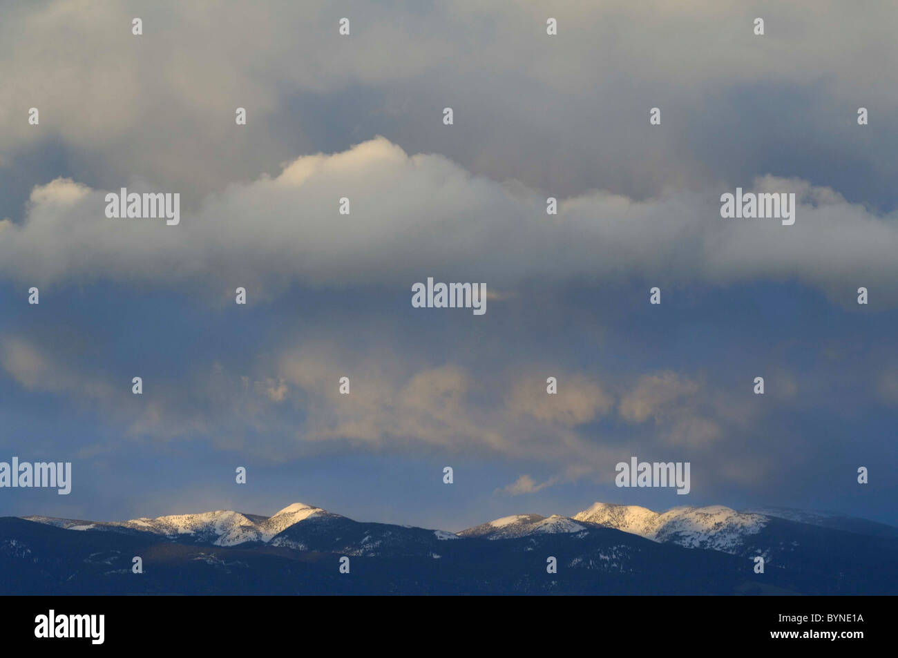 Rainbow bitterroot hi-res stock photography and images - Alamy