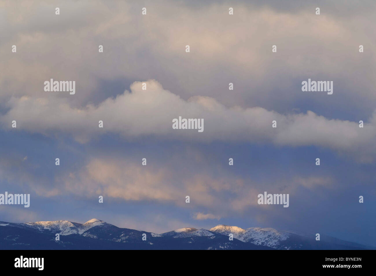 Rainbow bitterroot hi-res stock photography and images - Alamy