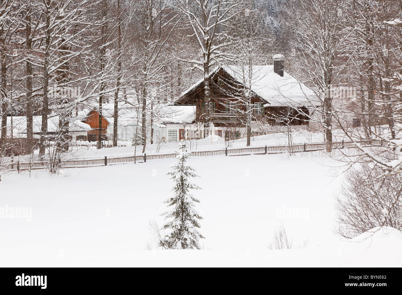 winter Alpine landscape with house and trees. horizontal shot Stock ...