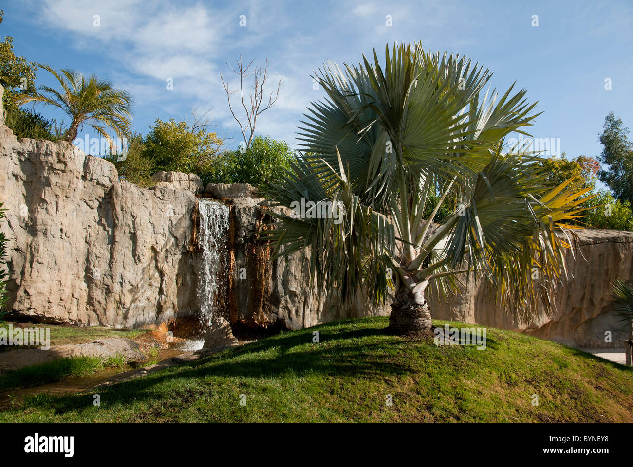 Bioparc Valencia spain zoo animals biopark Stock Photo - Alamy