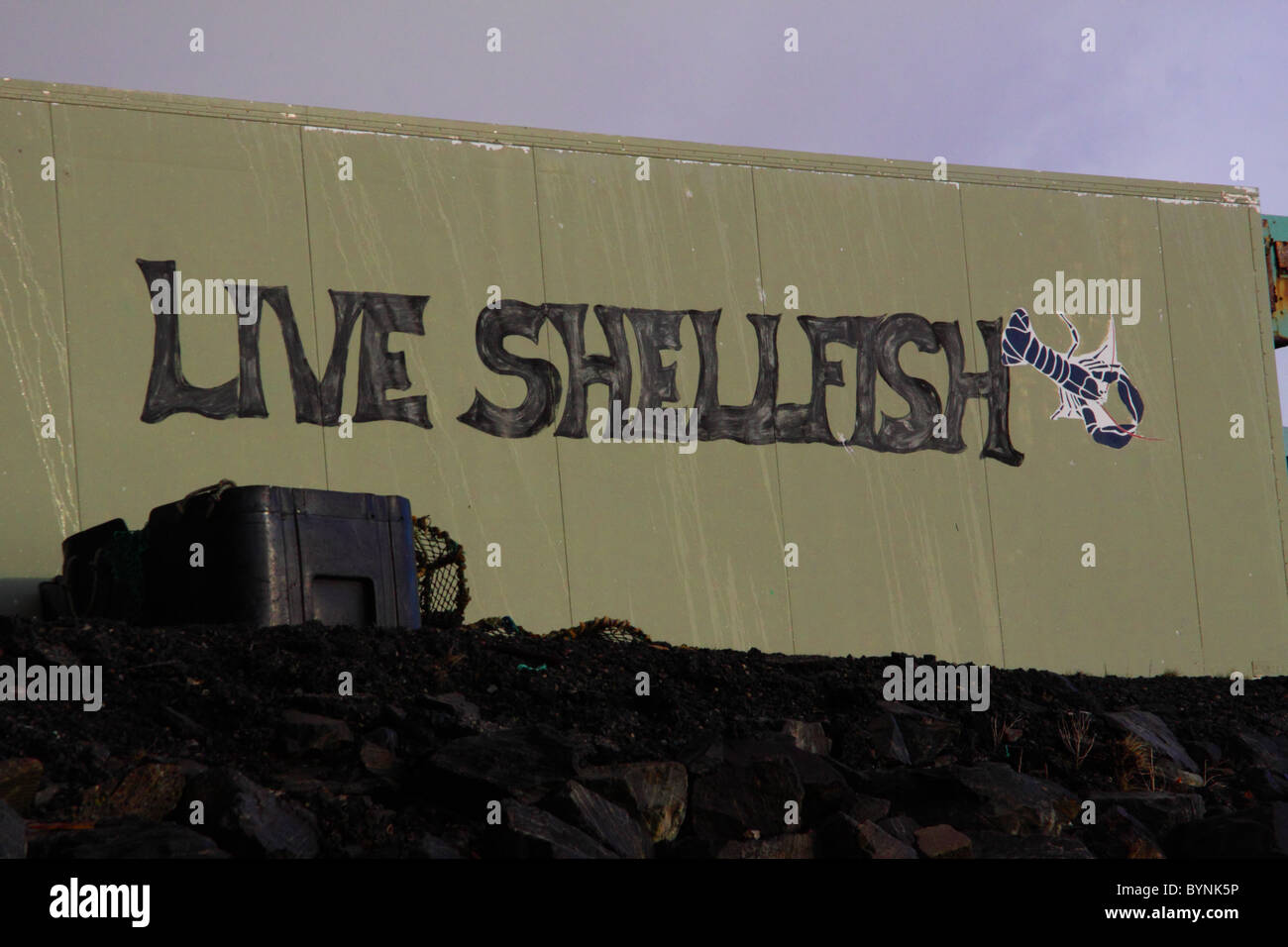 Live or cooked shellfish hi-res stock photography and images - Alamy