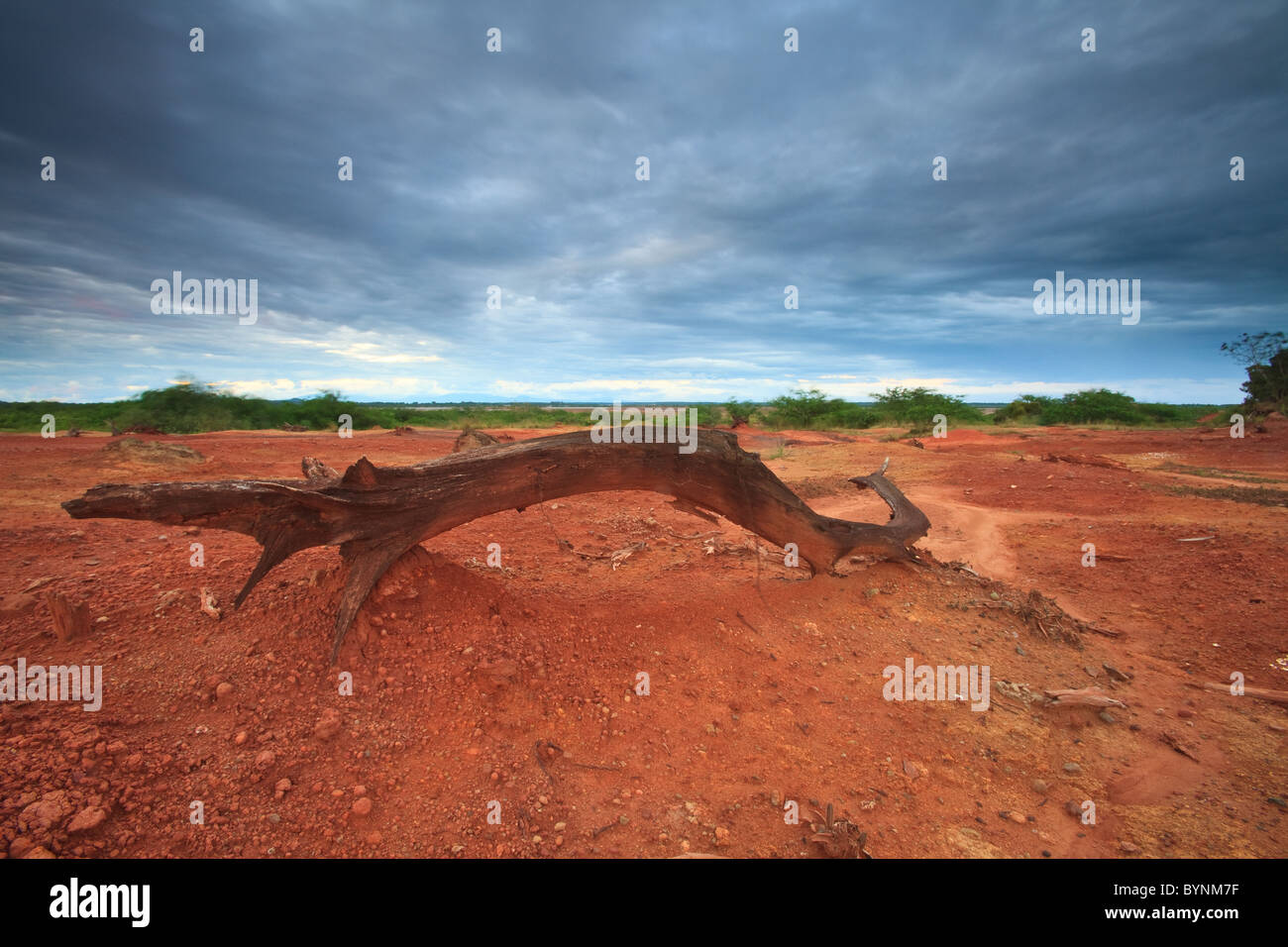 Eroded soil in Sarigua national park (desert), Herrera province ...