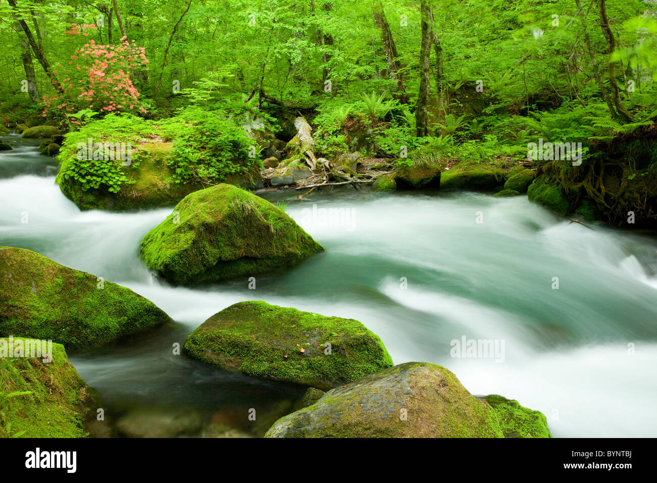 Long exposure of oirase stream hi-res stock photography and images - Alamy