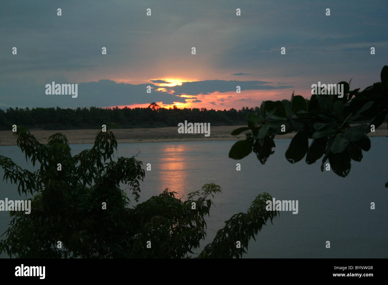 Rare giant turtle found in Mekong One of the world's largest and least ...