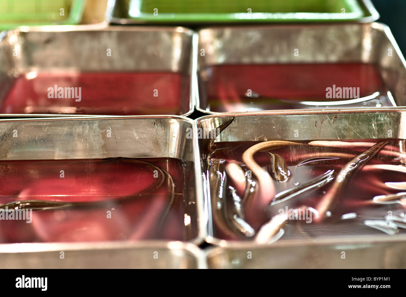 Metal containers with fish at Tsukiji fish market Stock Photo - Alamy