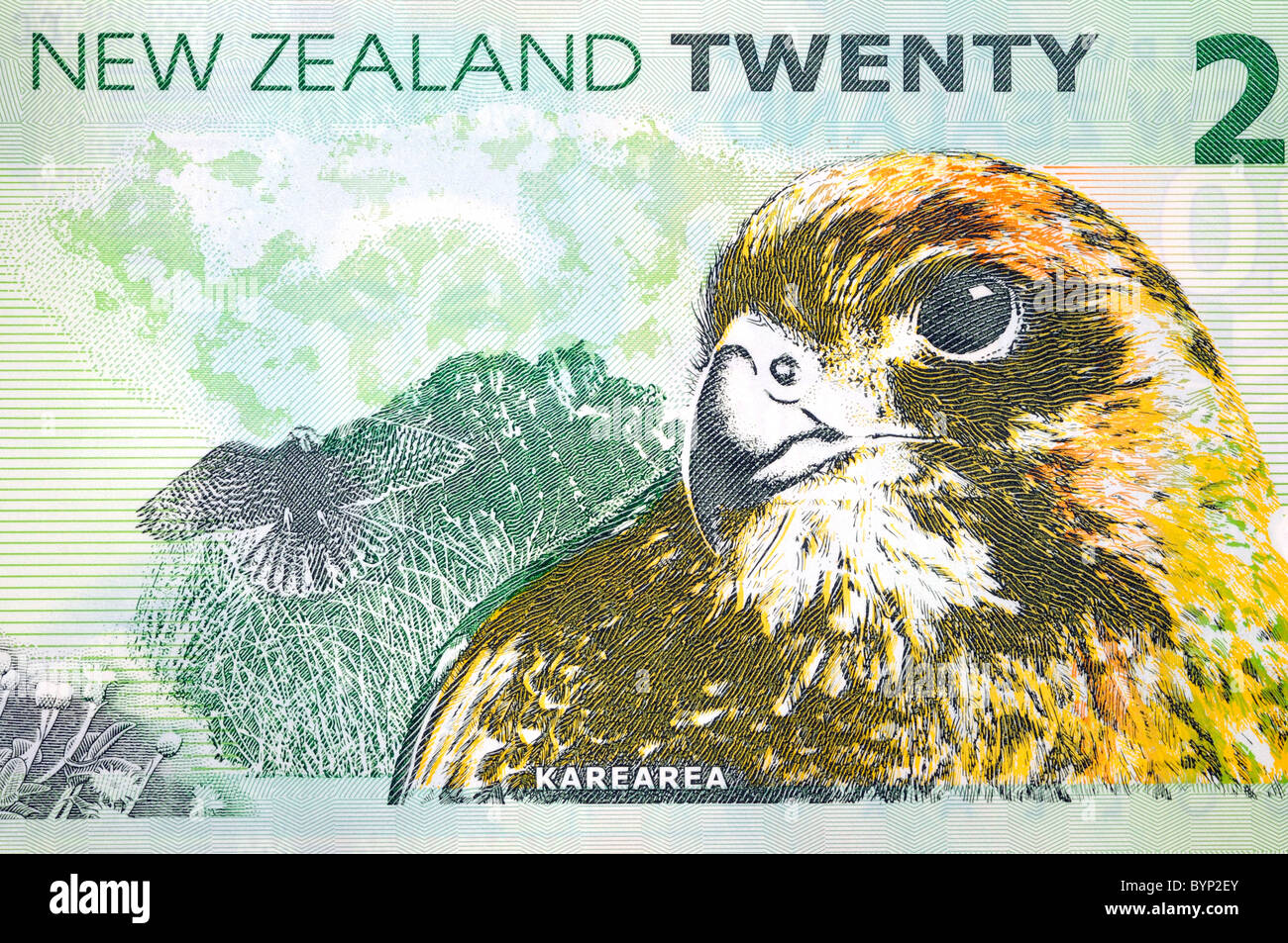 New Zealand Twenty 20 Dollar Note Stock Photo - Alamy