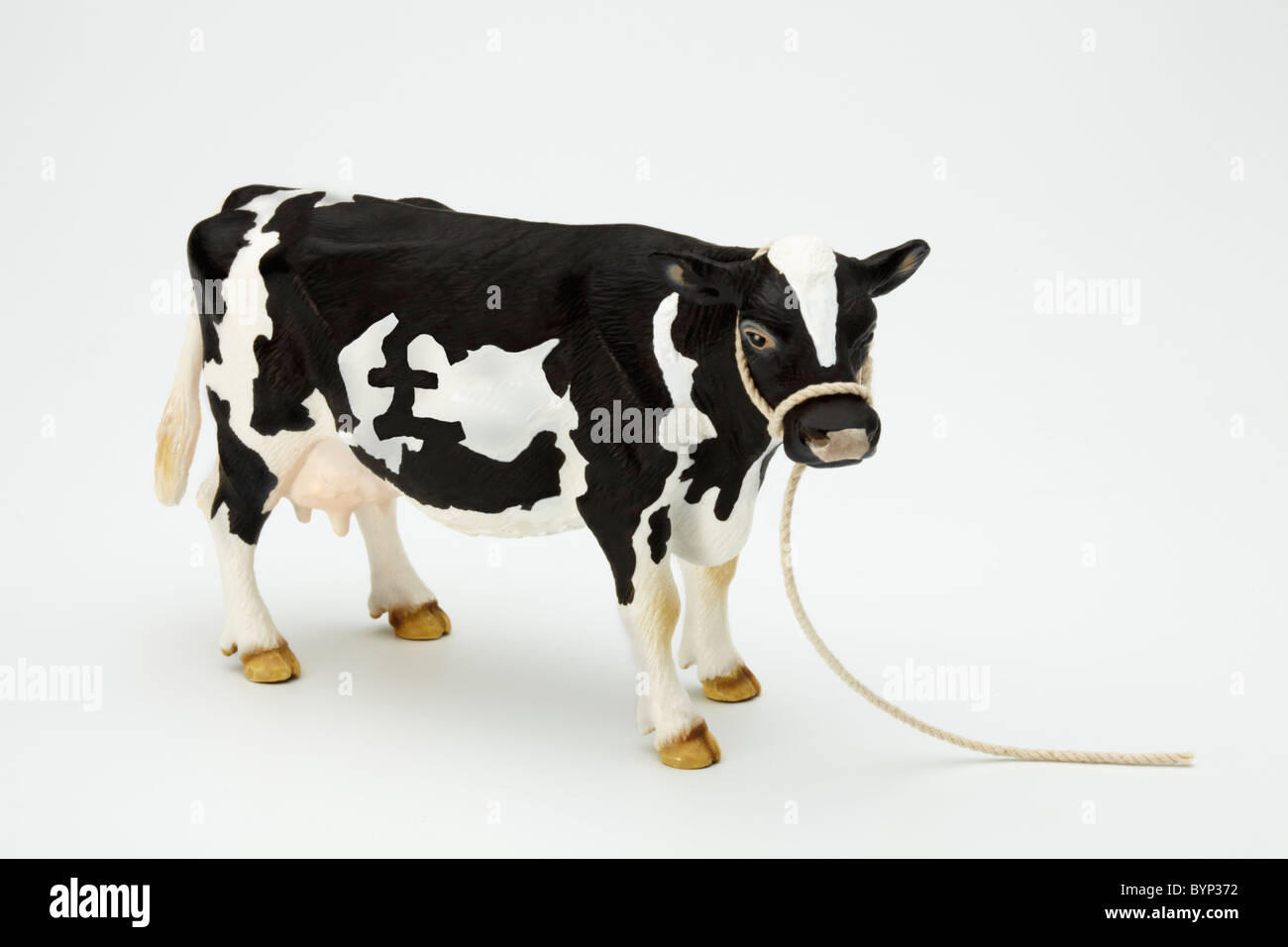 Cow Cash Cow Stock Photo - Alamy