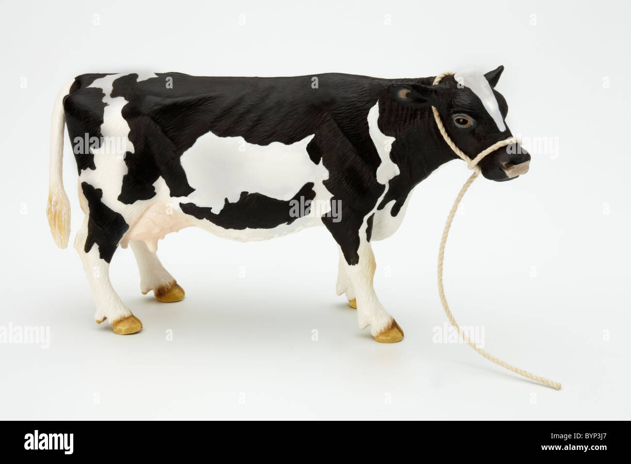 Cow Cash Cow Stock Photo - Alamy