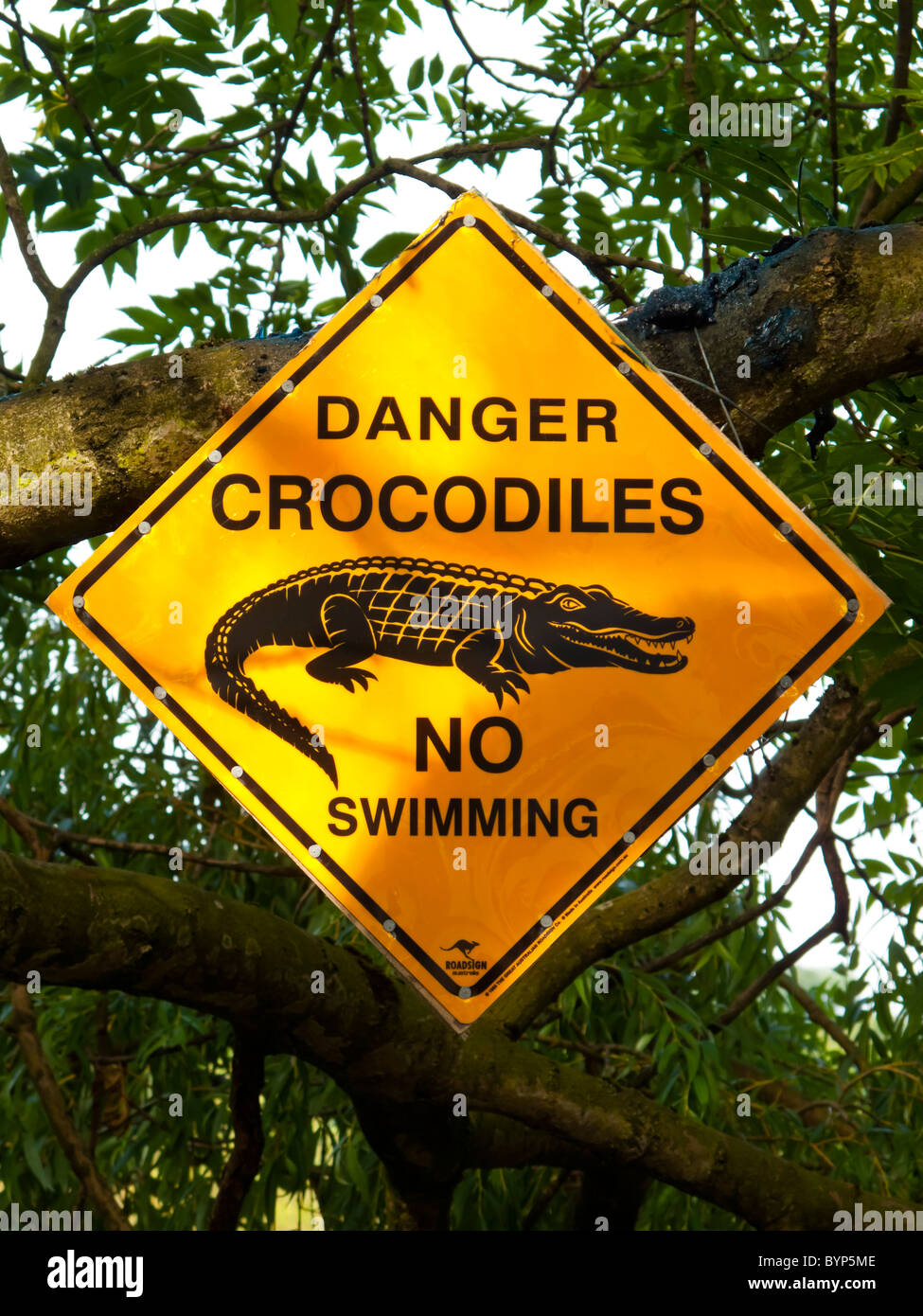 Danger Crocodiles No Swimming warning sign nailed to a tree Stock Photo ...
