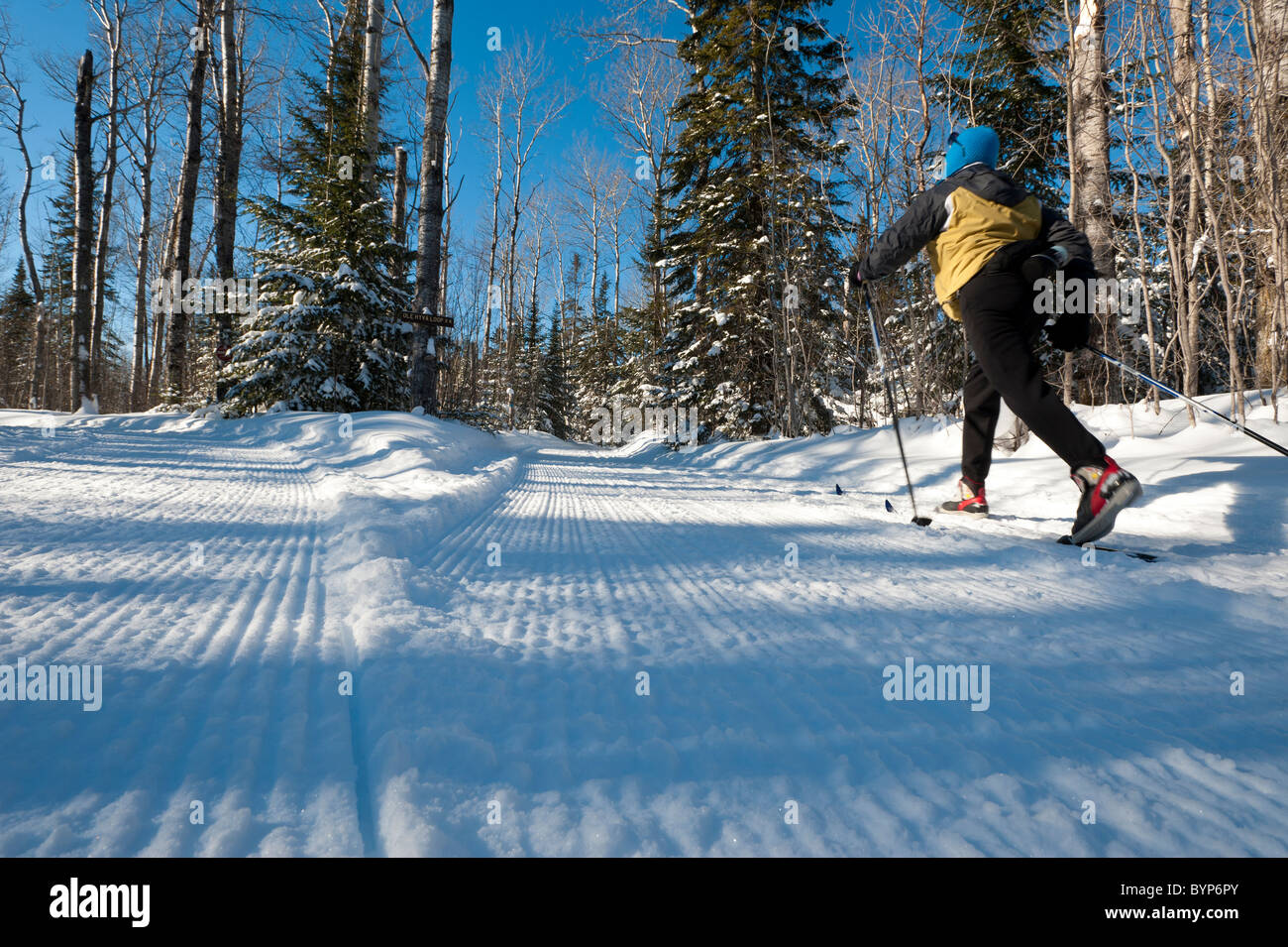 CROSS COUNTRY SKIER ON GROOMED TRAIL Stock Photo - Alamy