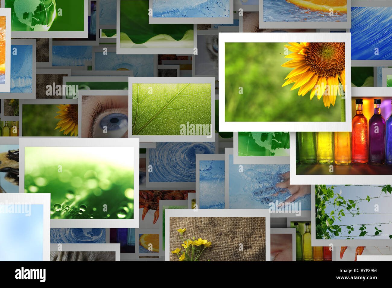 Collection of photos Stock Photo - Alamy