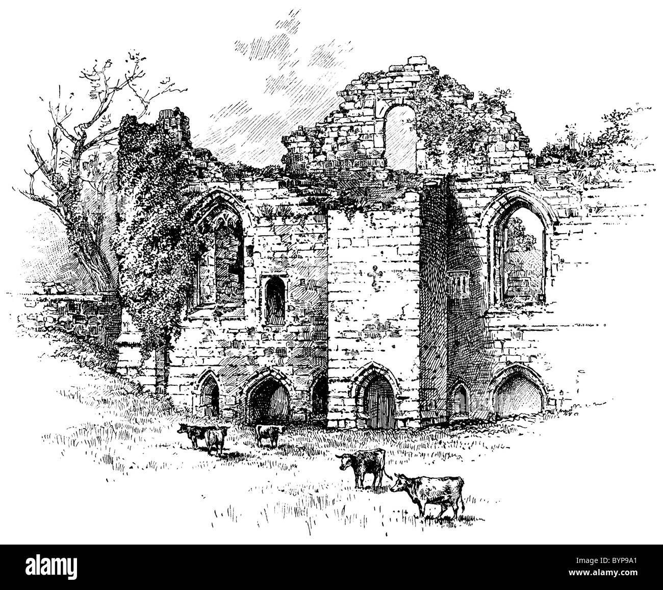 Victorian engraving of Tutbury Castle, Staffordshire Stock Photo - Alamy
