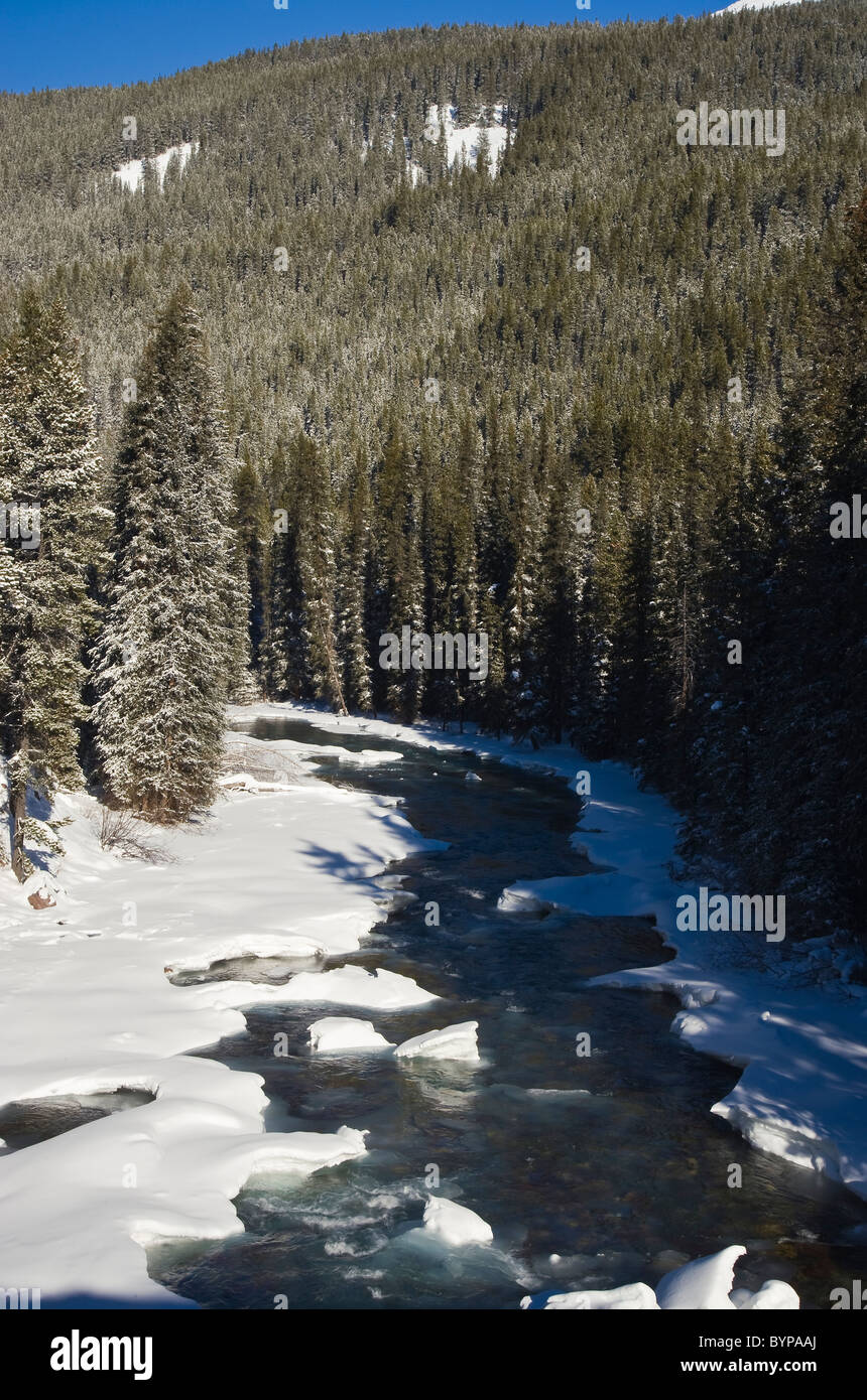 A vertical landscape image of the Maligne River in Jasper National Park ...