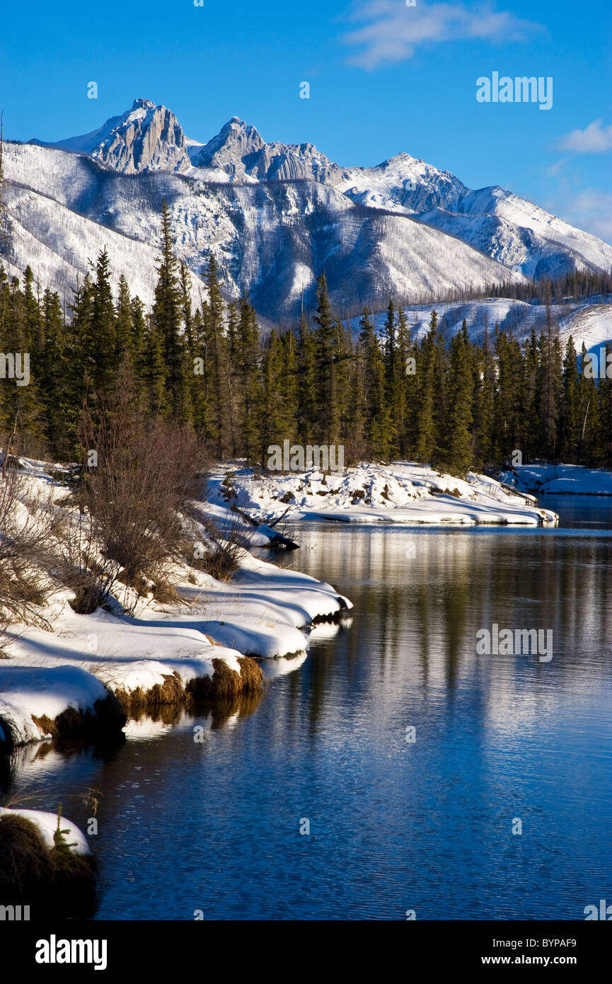 A vertical winter landscape image of an open warm pond of water with a ...