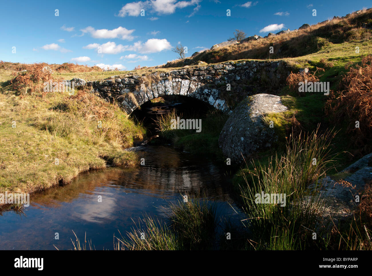 a small arched bridge crossing a small stream on dartmoor Stock Photo ...