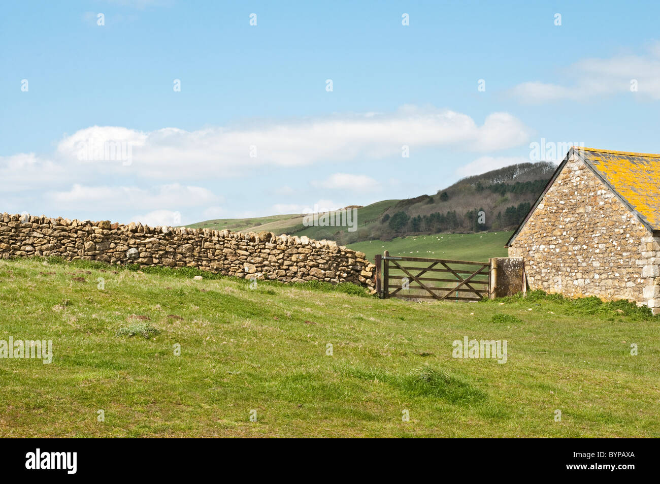 Abbotsbury Farm Building High Resolution Stock Photography and Images ...