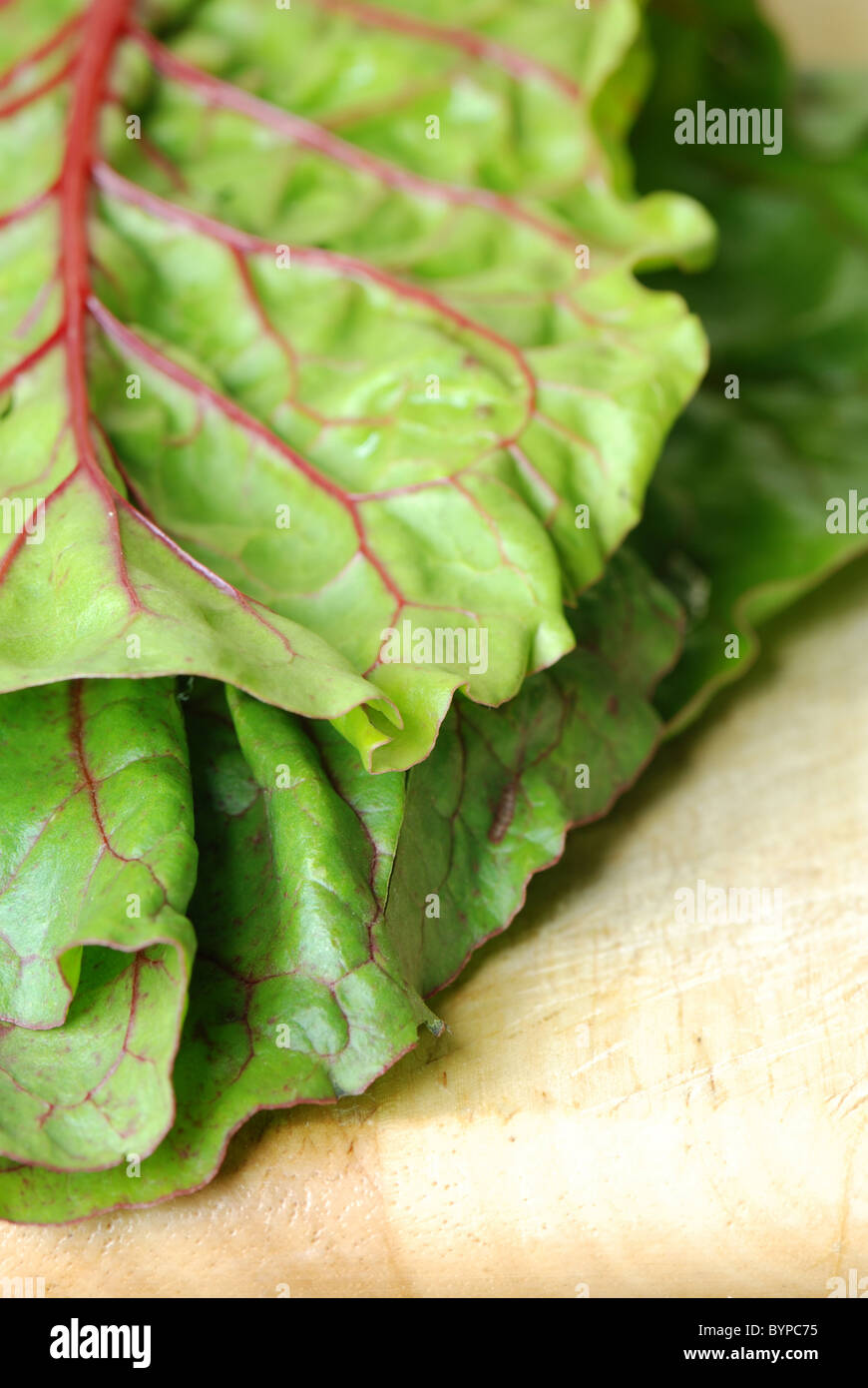 Swiss chard leaves closeup Stock Photo - Alamy