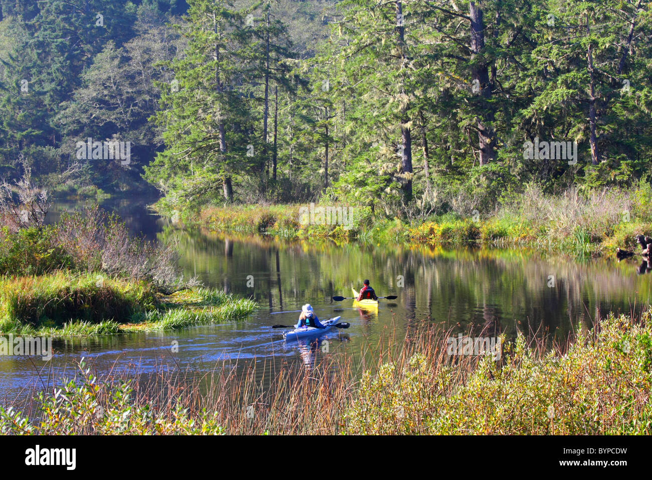 Western Oregon Scenery