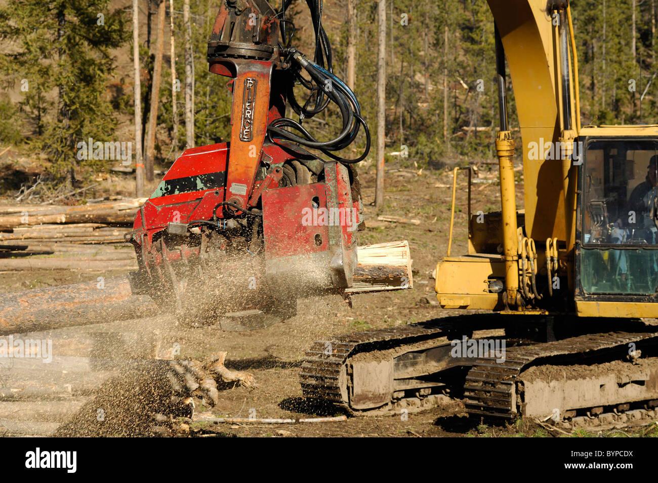 Salmon-Challis National Forest, Logging, Logger Stock Photo - Alamy